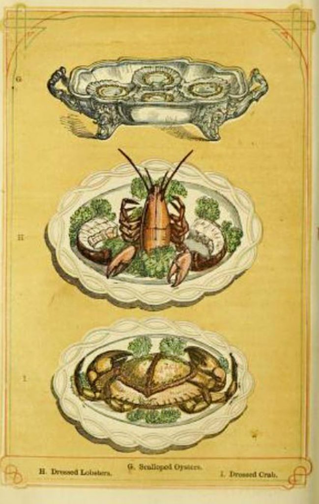 Isabella Beeton: Een Victoriaans fenomeen | My inner Victorian